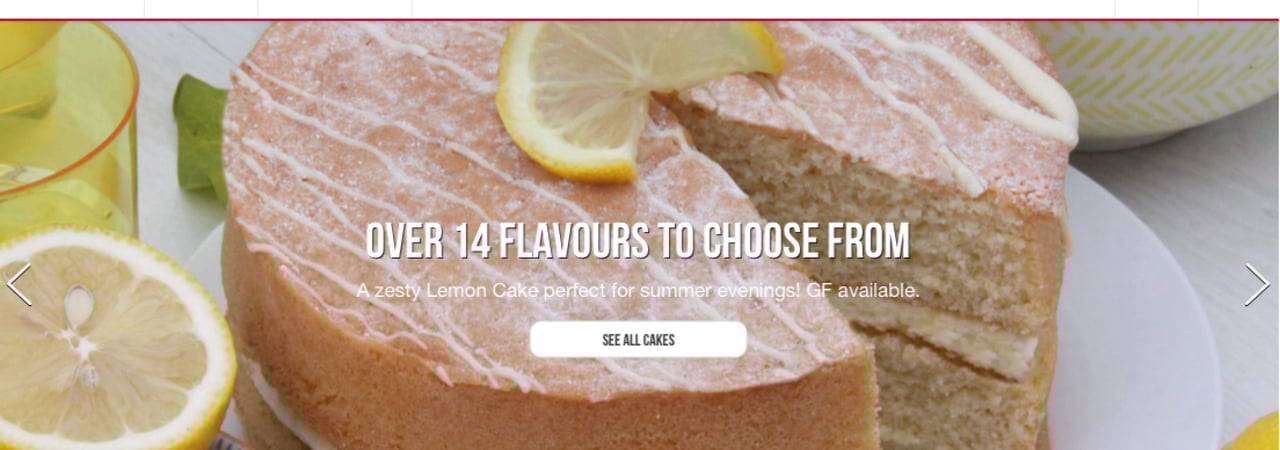 New Website! | Company News | Blog | Sponge